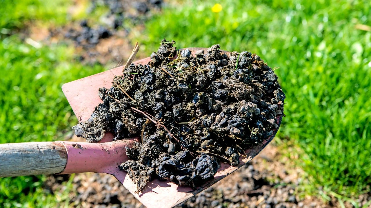 Testing Manure | Alberta Environmental Farm Plan
