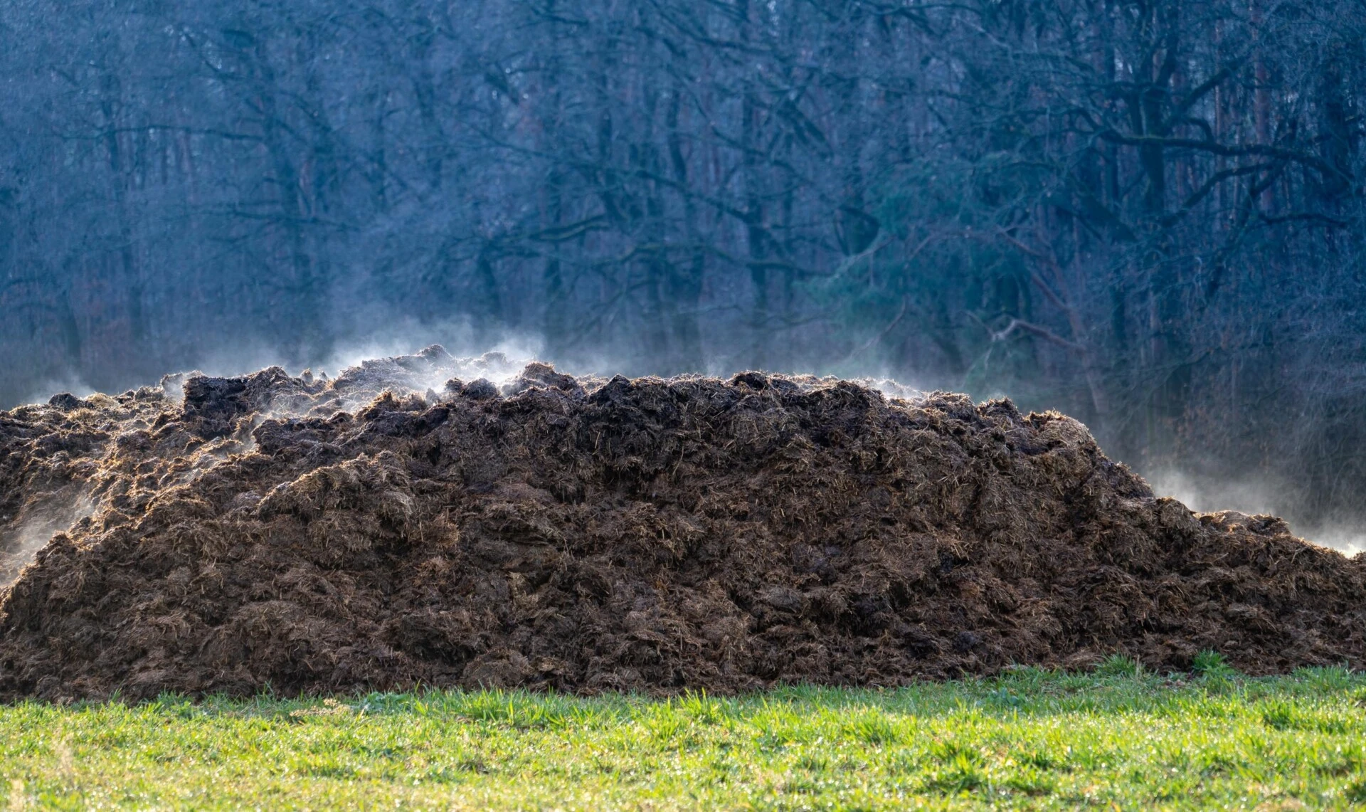 Navigating Manure Storage: What Producers Need to Know