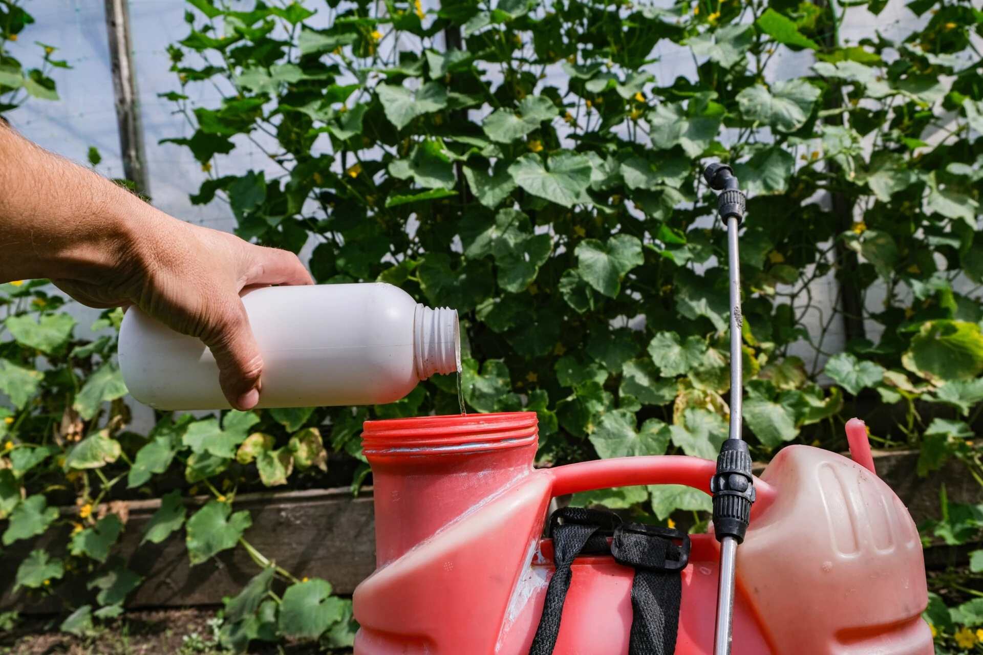 Pesticide Handling and Storage | Alberta Environmental Farm Plan