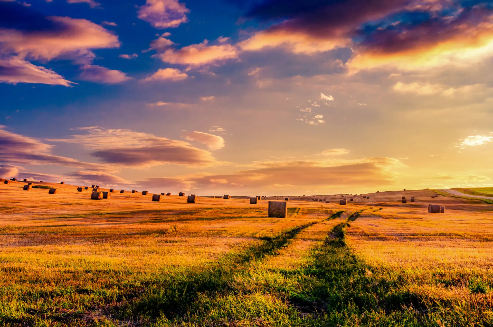 Alberta EFP Annual Report 2024-2025 | Alberta Environmental Farm Plan